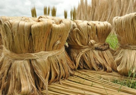 Un materiale molto duttile che ha moltissime potenzialità